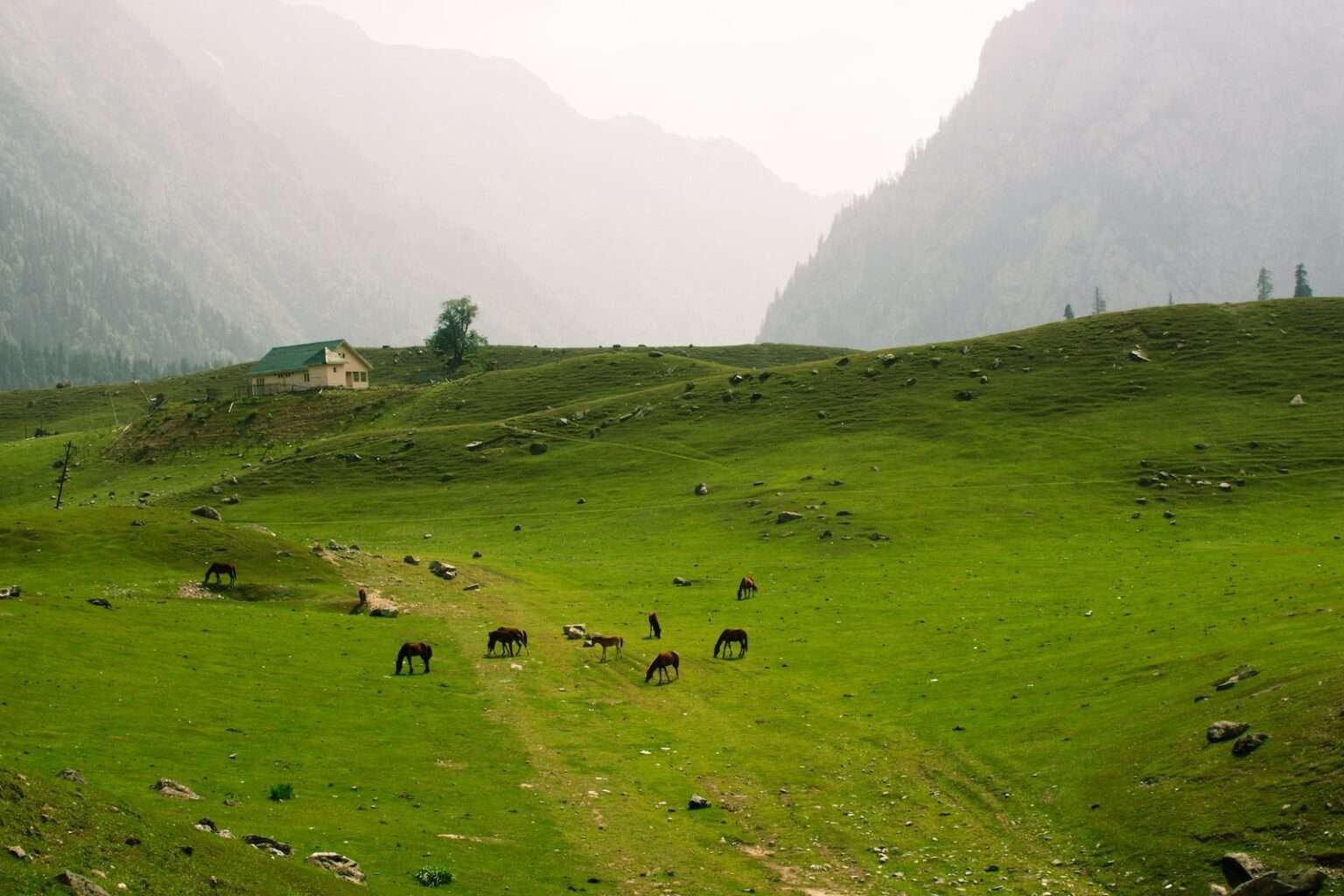 How to reach Kashmir from major Indian cities by Flight &Train