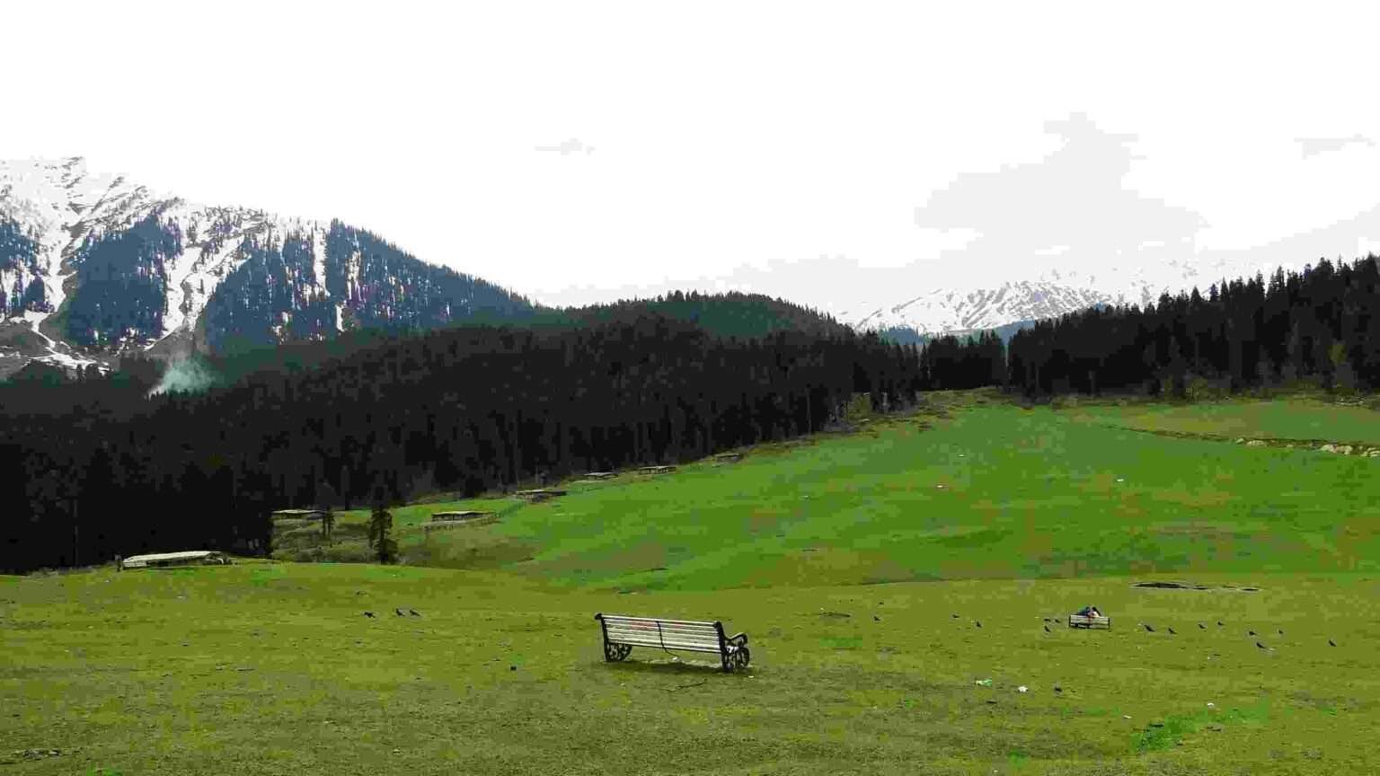 Pahalgam Tour Packages | Budget-Friendly And Luxurious