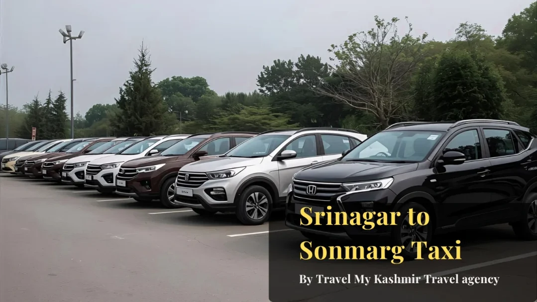 Srinagar to Sonmarg Taxi | Book Cab @ ₹2999 | Travel My Kashmir