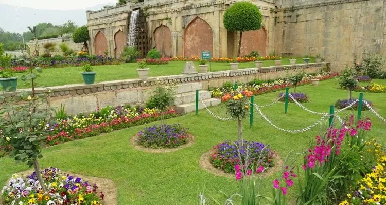 Nishat garden in Srinagar | How to reach | Best time to visit | Timing